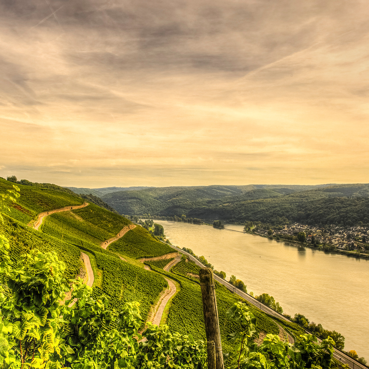 Flodkryssning på Rhen